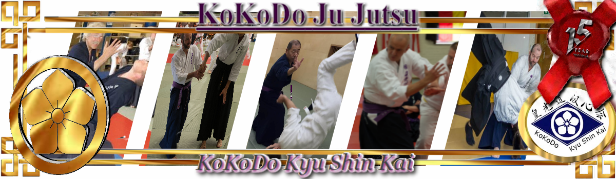 KoKoDo Kyu Shin Kai NL